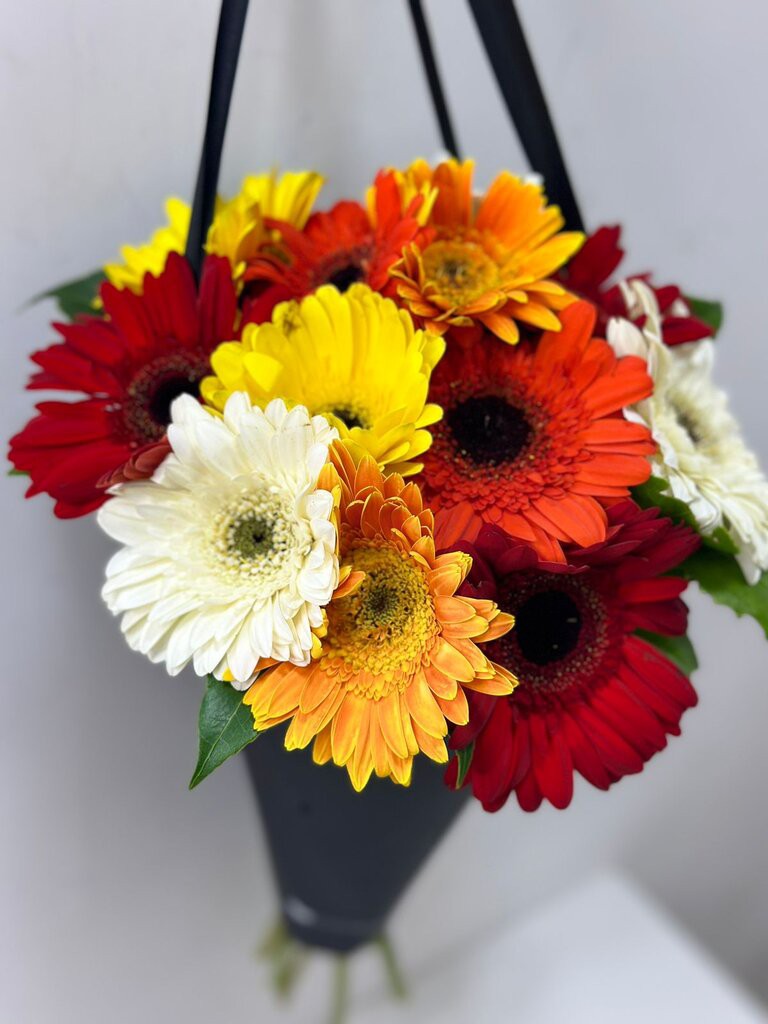 Premium Cone Mix Gérberas | Camélia Flores